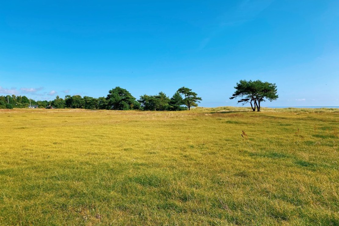 Hyreslägenheter i Trelleborg | Boplats Syd